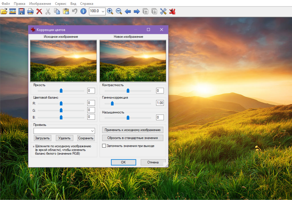 IrfanView: скачать бесплатно на русском языке для Windows 10, 7 (64 bit ...